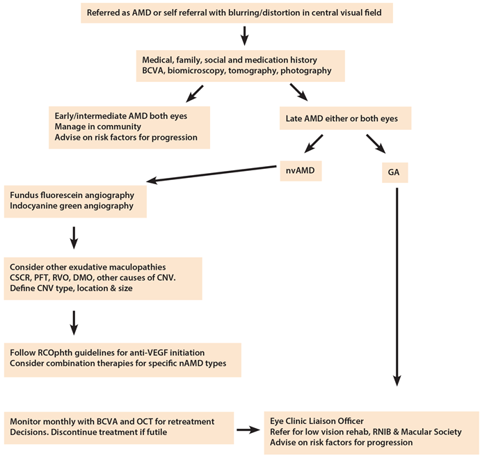 Neovascular AMD: fresh recommendations underline standards of best ...