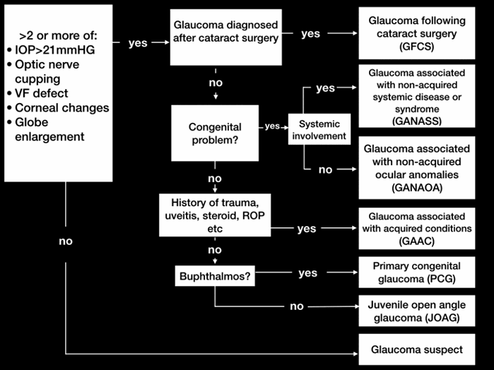 Childhood glaucoma | Eye News