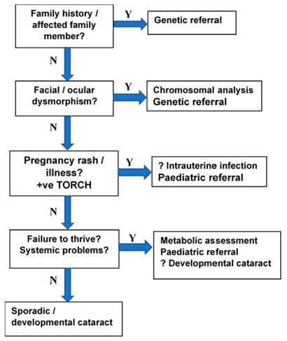 The paediatric cataract: an overview of the embryology and ...